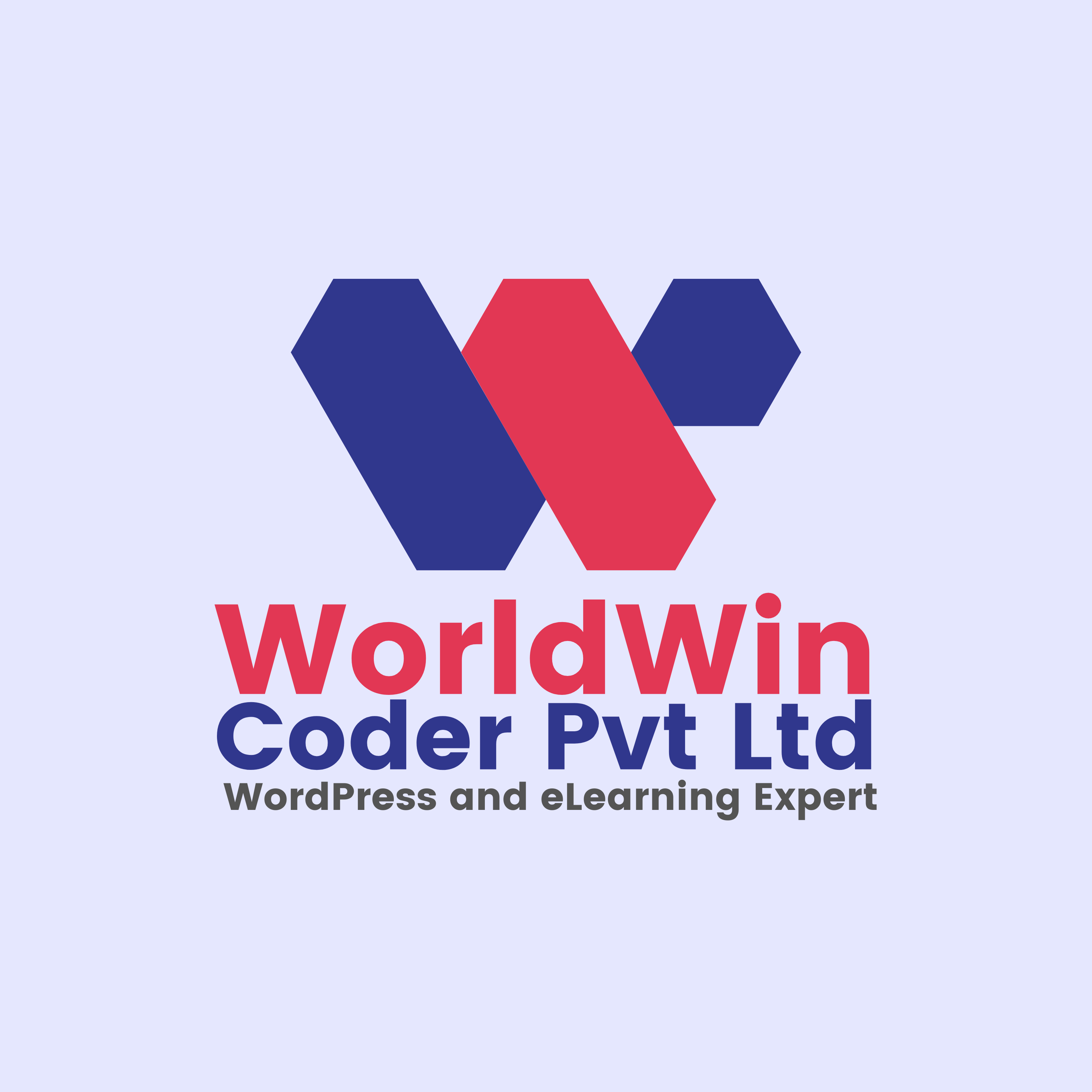 Standard Plan - Wordpress Website Maintenance - WorldWin Coder